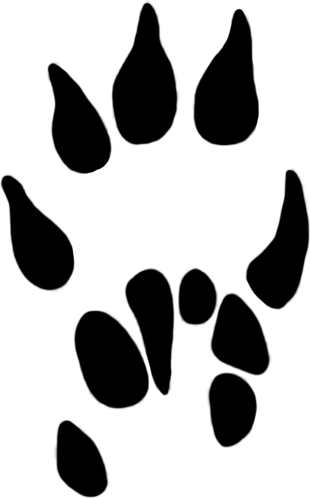 Congratulations! The PNG Image Has Been Downloaded (Paw Prints Clipart ...