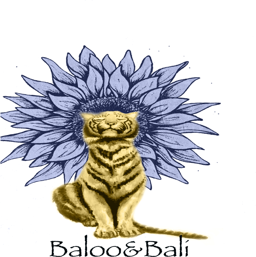 Congratulations! The PNG Image Has Been Downloaded (Baloo Png ...