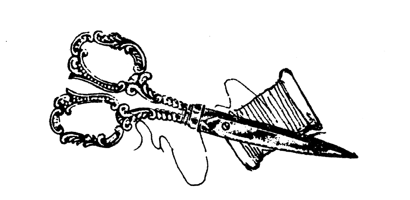 Congratulations! The PNG Image Has Been Downloaded (Transparent ...