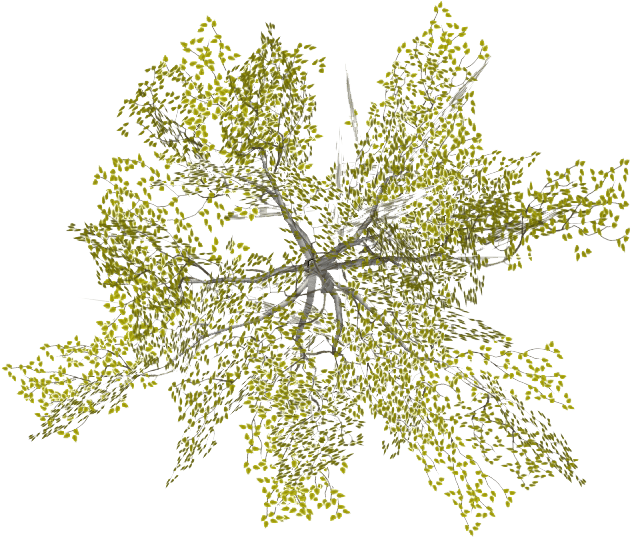 Congratulations! The PNG Image Has Been Downloaded (Transparent Site ...