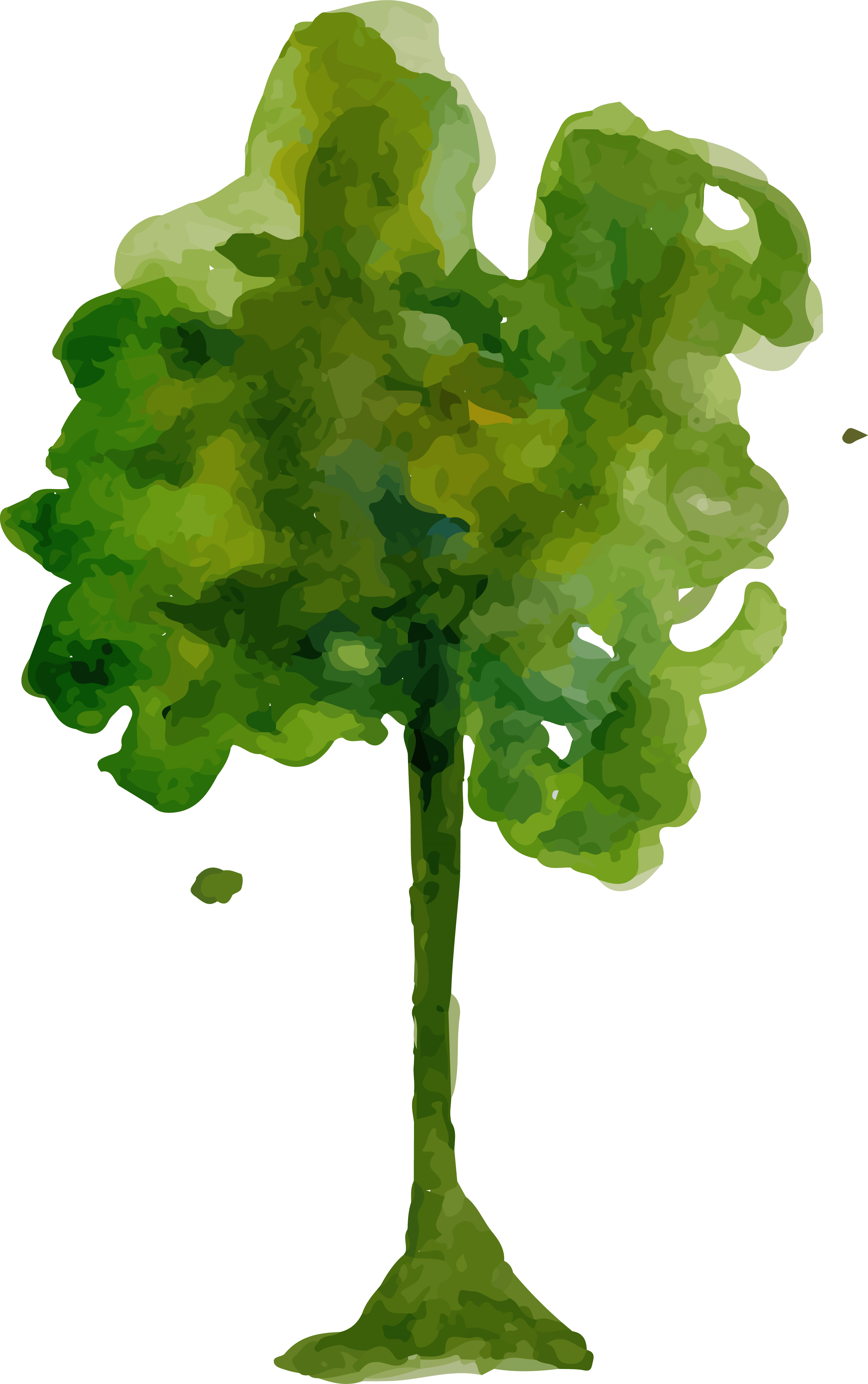 Congratulations! The PNG Image Has Been Downloaded (Watercolor Trees ...