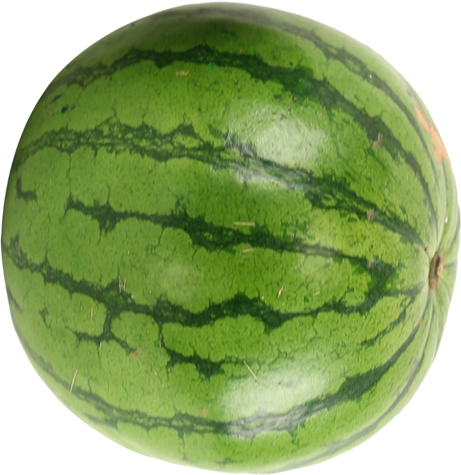 Congratulations! The PNG Image Has Been Downloaded (Watermelon Png ...