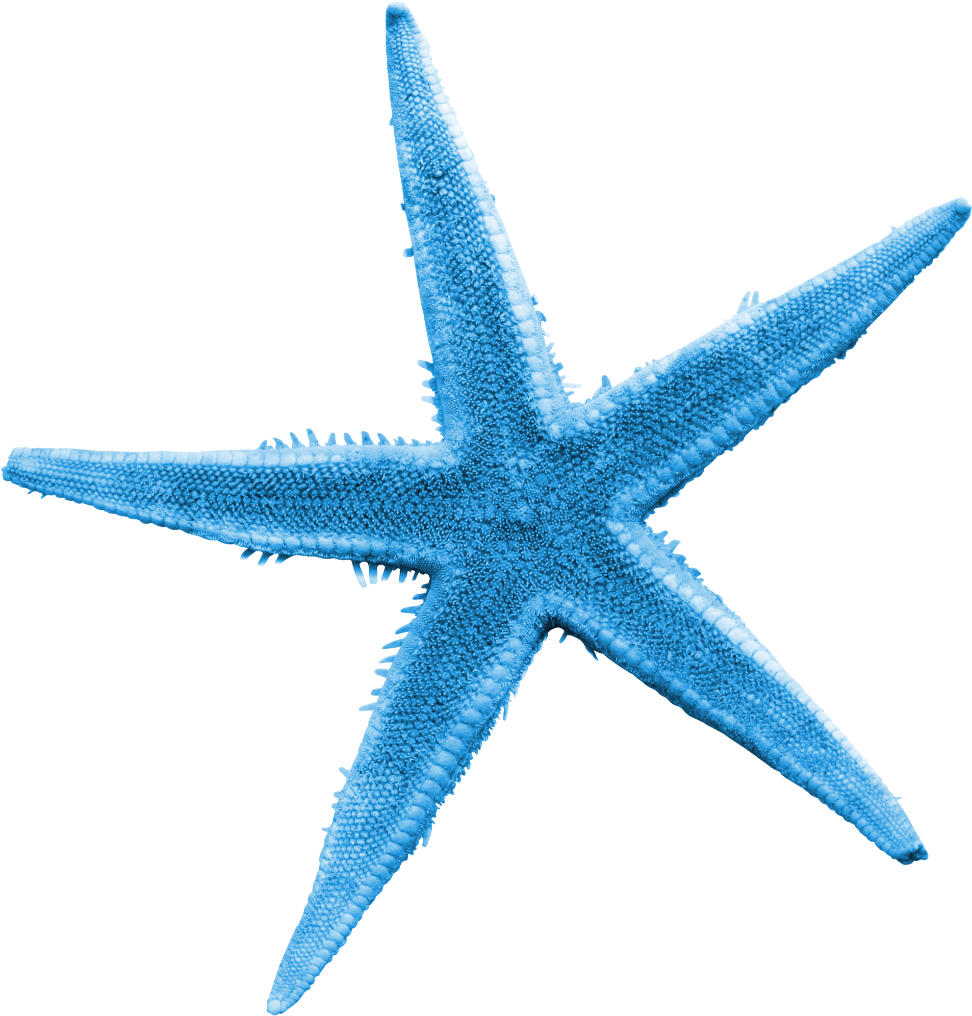 Congratulations! The PNG Image Has Been Downloaded (Transparent ...
