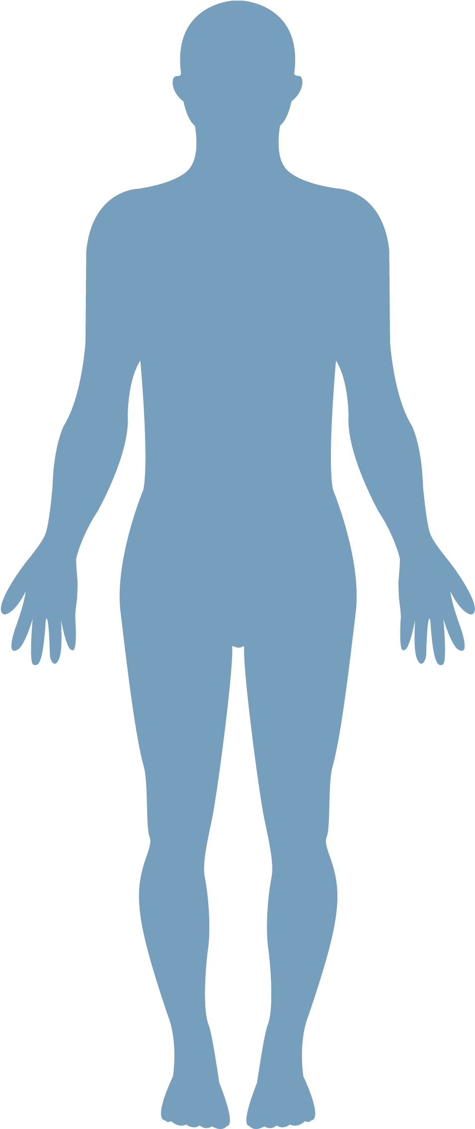 Congratulations! The PNG Image Has Been Downloaded (Human Body Vector ...