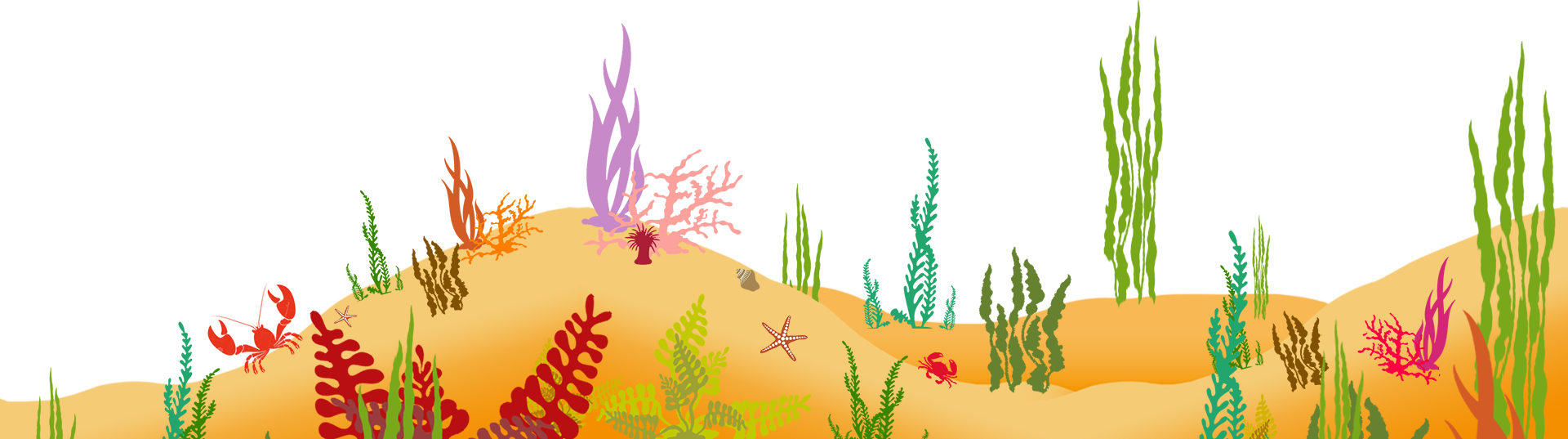 Congratulations! The PNG Image Has Been Downloaded (Cartoon Ocean ...