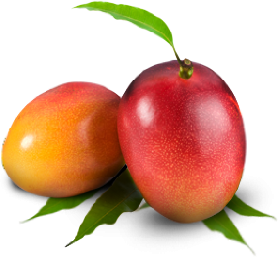 Congratulations! The PNG Image Has Been Downloaded (Mango Png Free ...