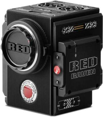 Congratulations! The PNG Image Has Been Downloaded (Red Raven Brain 1 ...