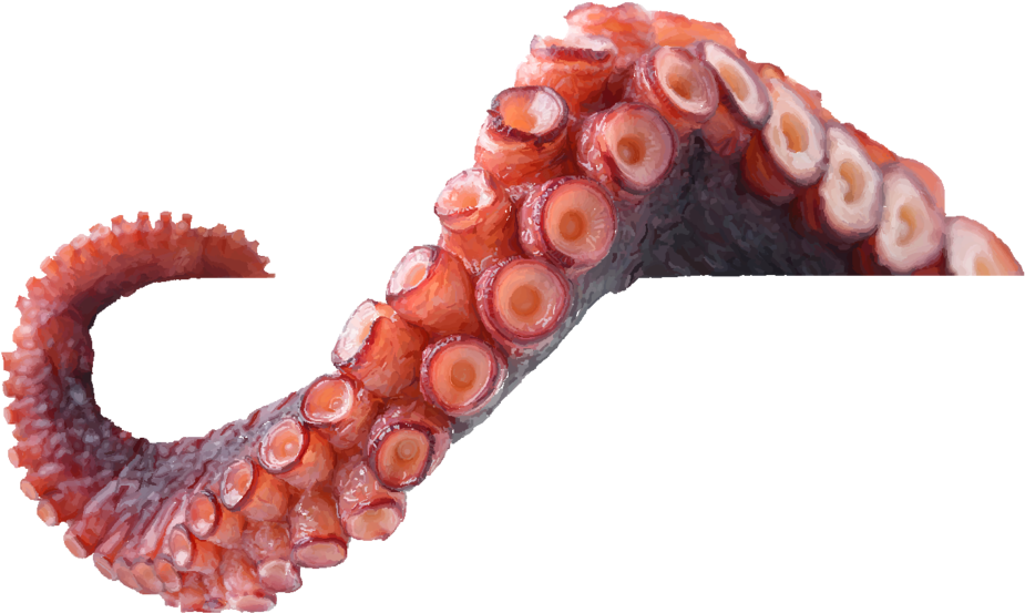 Congratulations! The PNG Image Has Been Downloaded (Octopus Tentacles ...