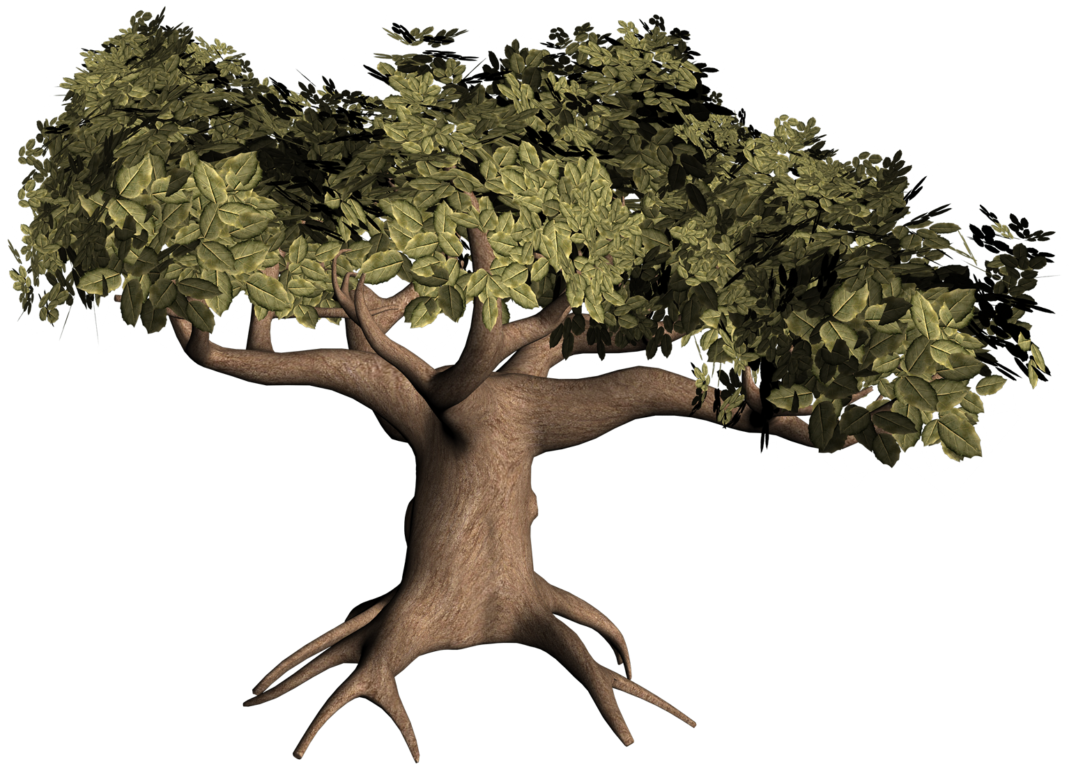 Congratulations! The PNG Image Has Been Downloaded (3d Tree Png - 3d ...