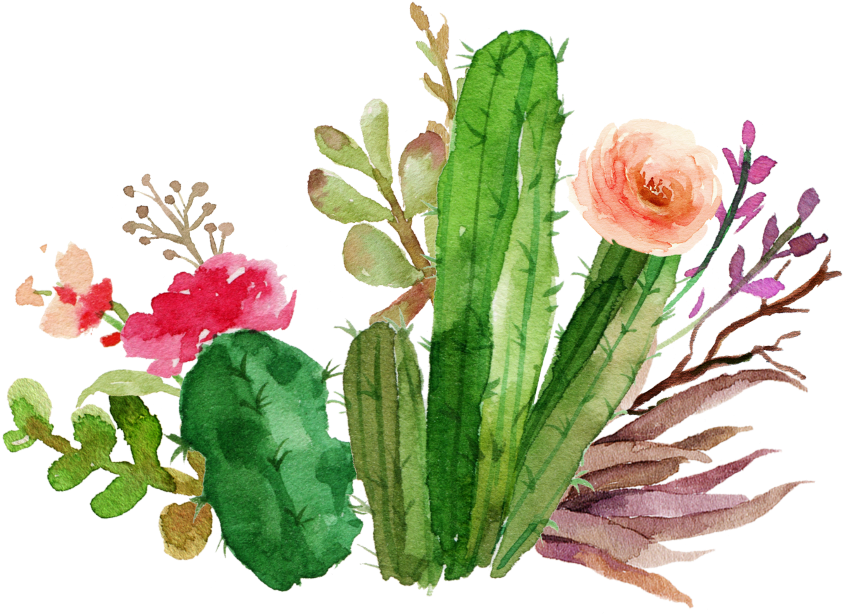 Congratulations! The PNG Image Has Been Downloaded (Transparent Cactus ...