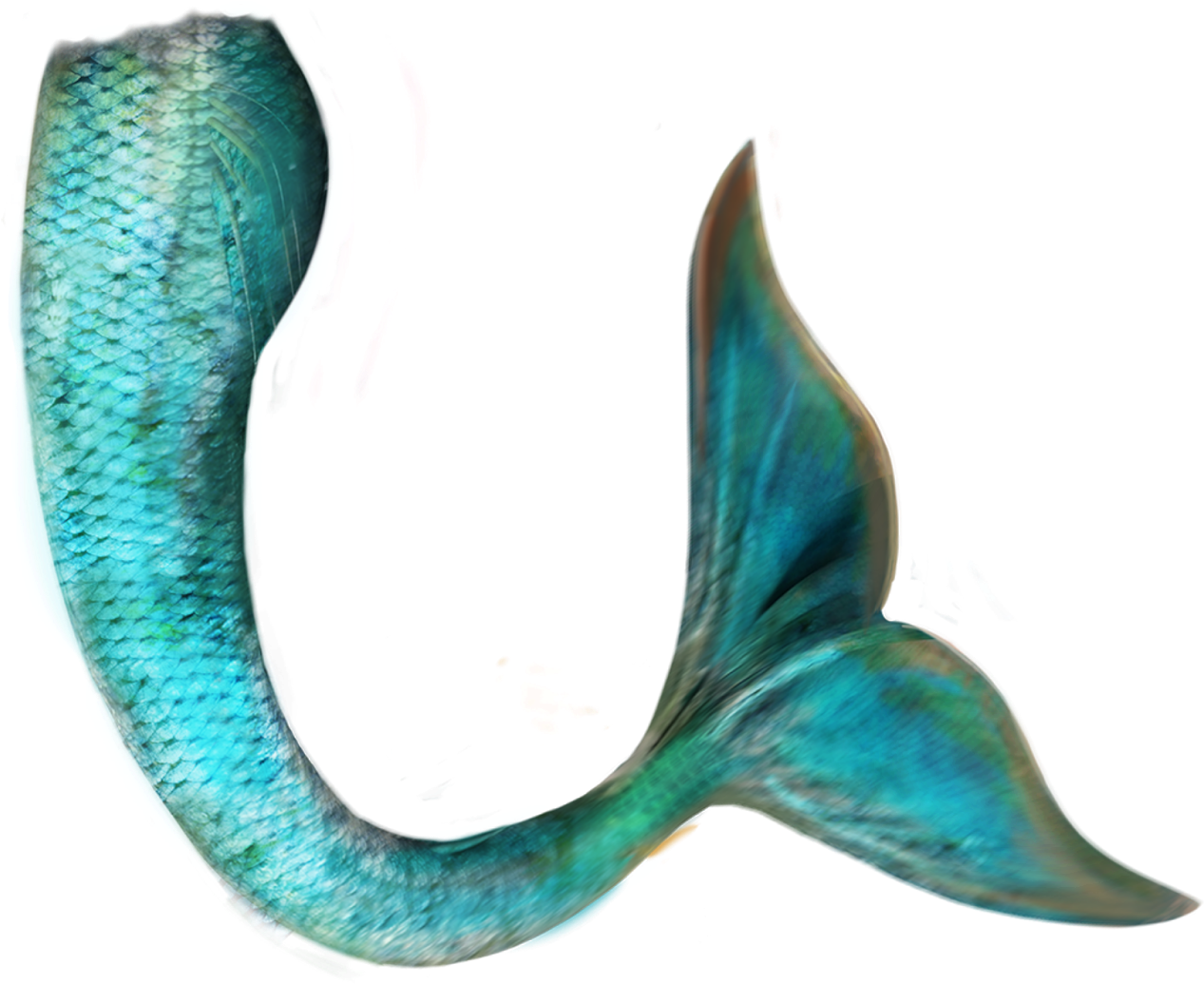Congratulations! The PNG Image Has Been Downloaded (Transparent Mermaid ...