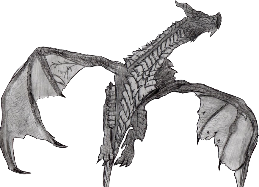 Congratulations! The PNG Image Has Been Downloaded (Dragon Drawings ...