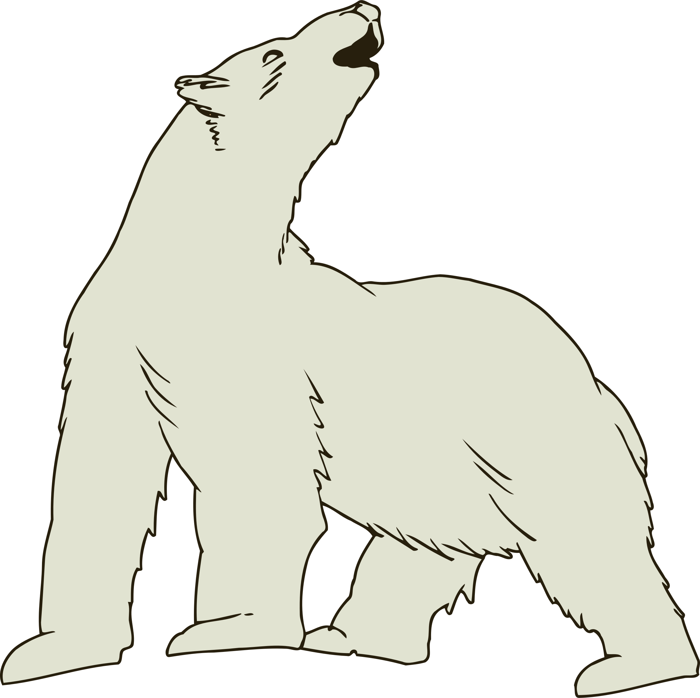 Congratulations! The PNG Image Has Been Downloaded (Polar Bear 3 Clip ...