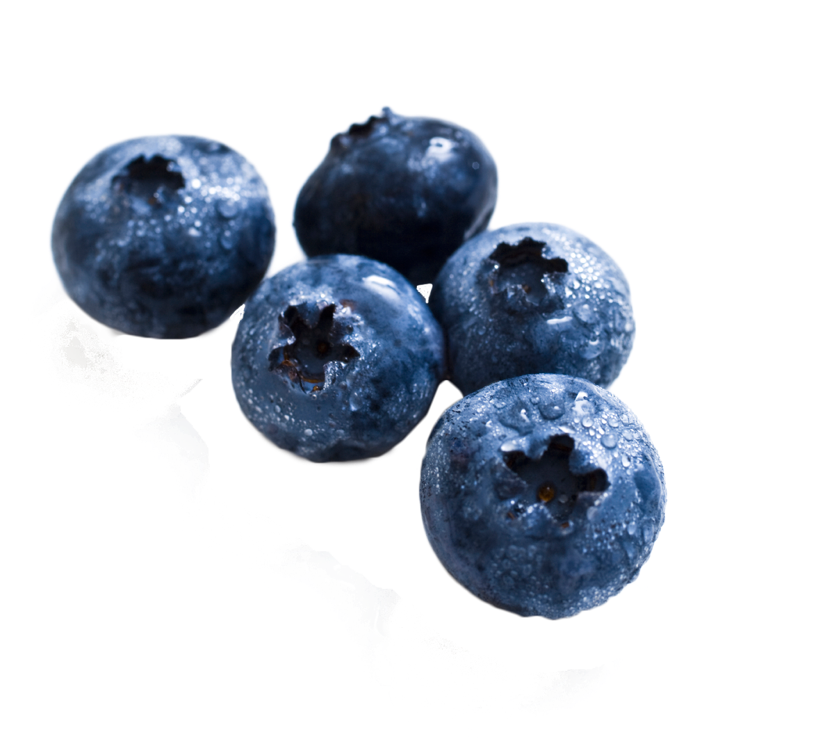 Congratulations! The PNG Image Has Been Downloaded (Blueberry Png Image ...