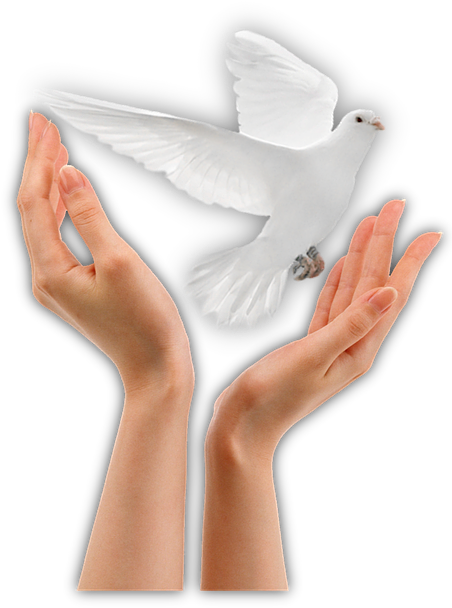 Congratulations! The PNG Image Has Been Downloaded (Manos Con Paloma De ...