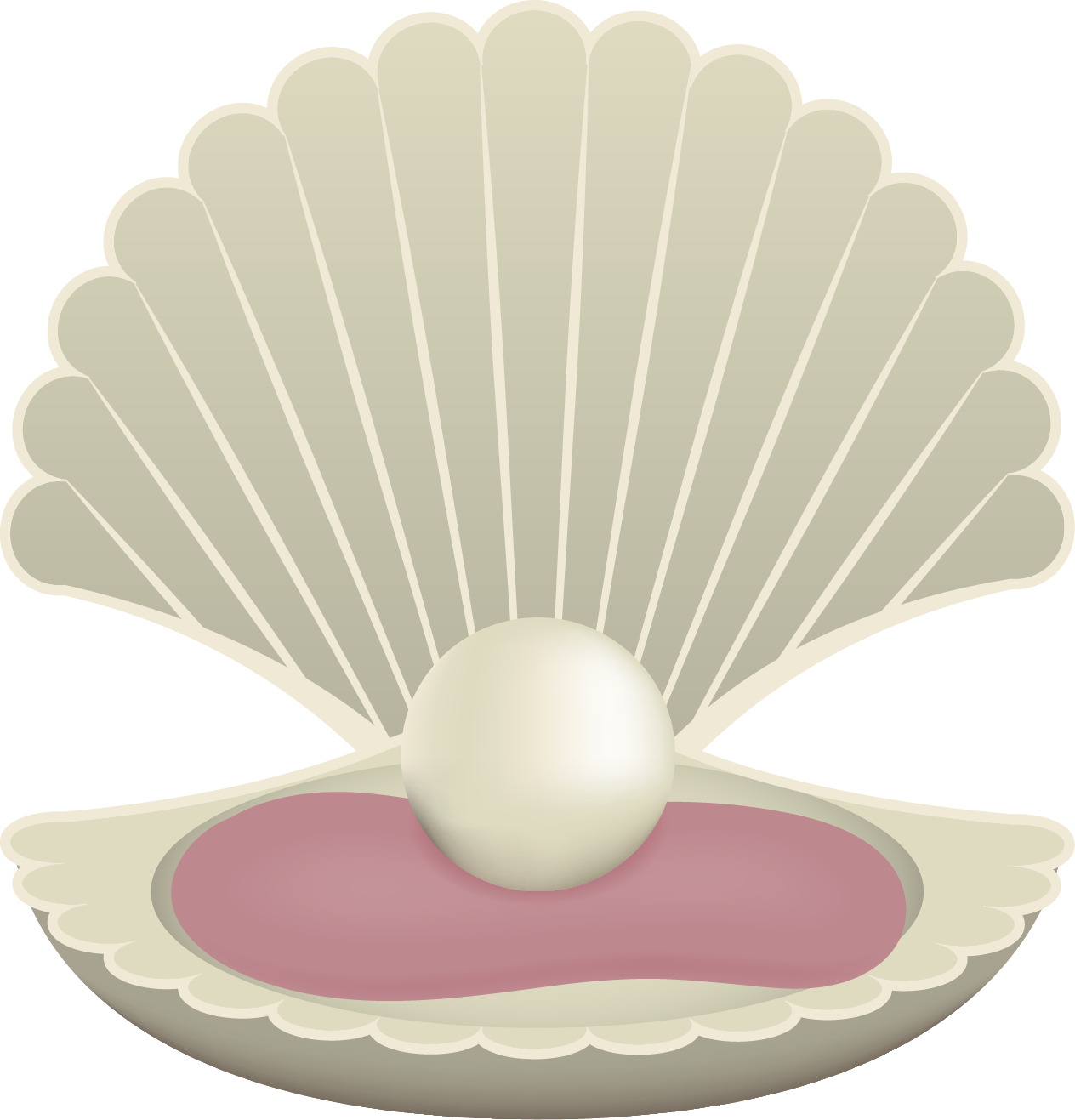 Congratulations! The PNG Image Has Been Downloaded (Pearl Great Shell ...
