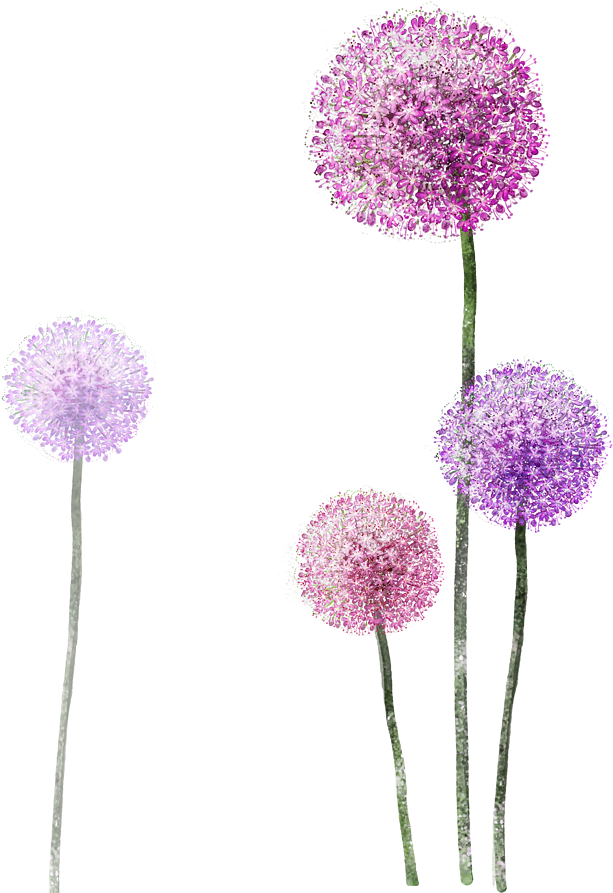 Congratulations! The PNG Image Has Been Downloaded (Watercolor Purple ...