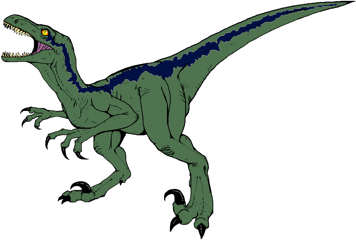 Congratulations! The PNG Image Has Been Downloaded (Blue The Raptor ...