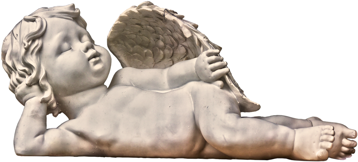 Congratulations! The PNG Image Has Been Downloaded (Transparent Baby ...