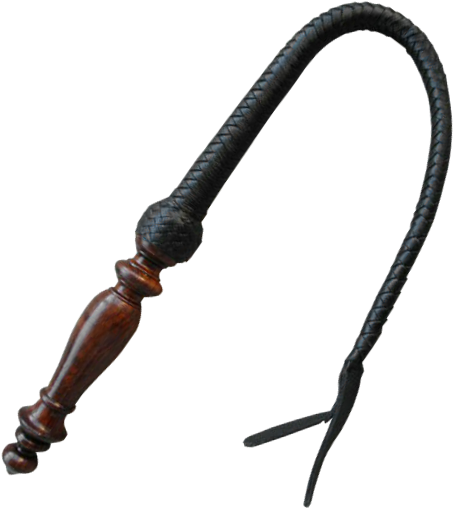 Congratulations! The PNG Image Has Been Downloaded (Whip Png Image ...