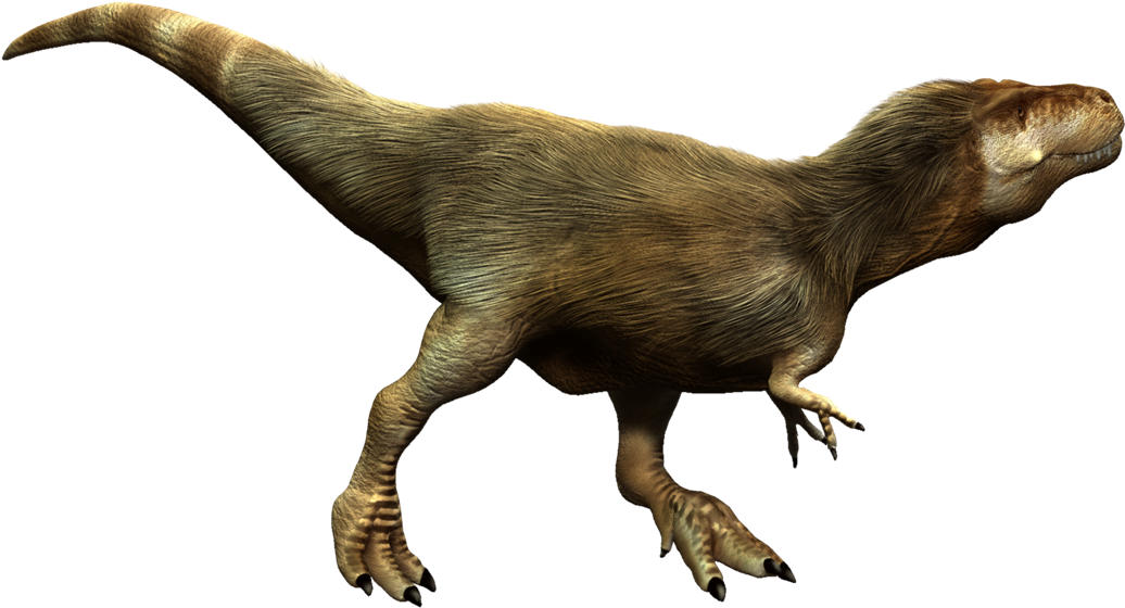 Congratulations! The PNG Image Has Been Downloaded (T Rex Png Hd ...