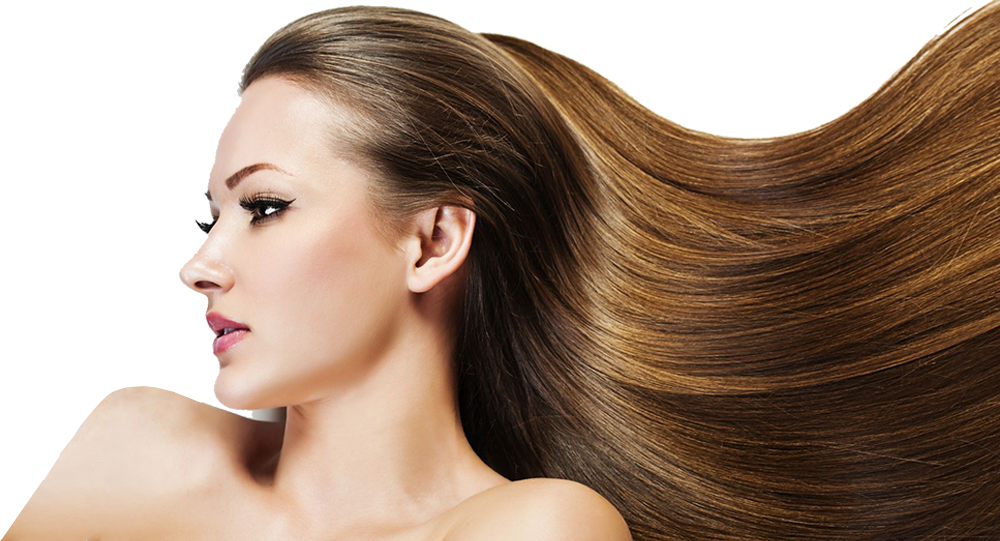 Congratulations! The PNG Image Has Been Downloaded (Lady Hair Png ...