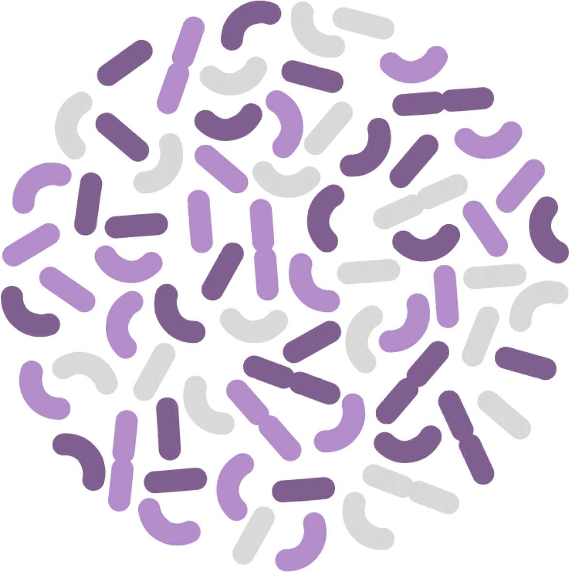 Congratulations! The PNG Image Has Been Downloaded (Simple Bacteria ...