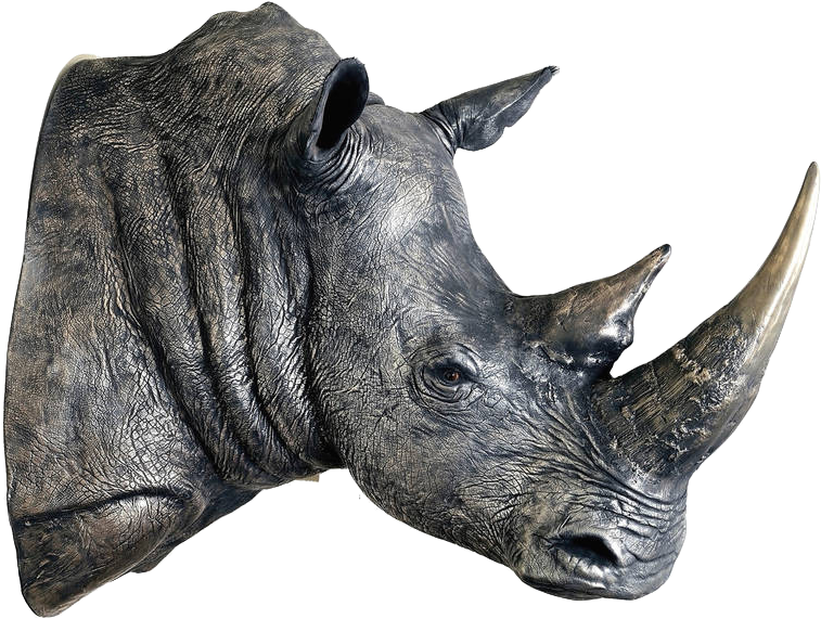 Congratulations! The PNG Image Has Been Downloaded (Rhinoceros ...