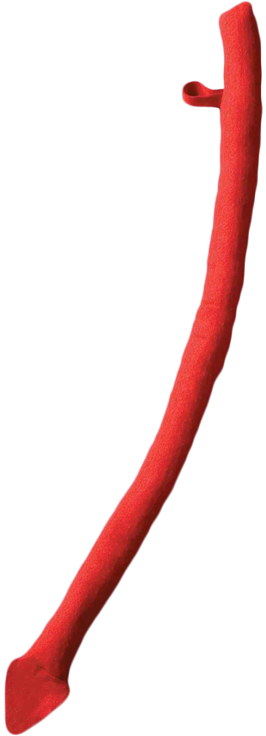 Congratulations! The PNG Image Has Been Downloaded (Devils Tail Png ...