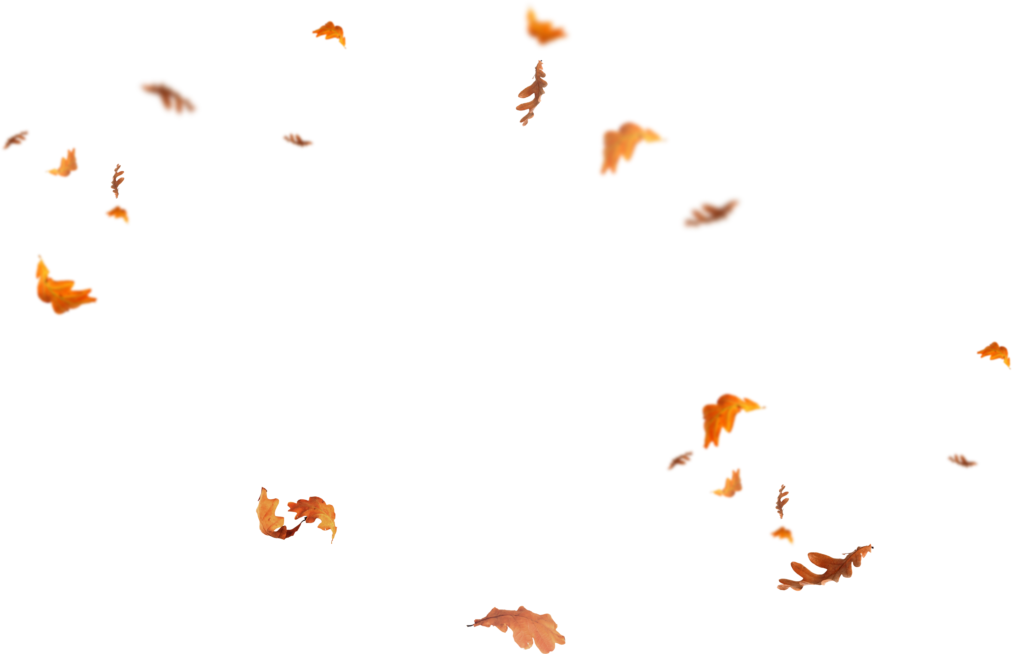 Congratulations! The PNG Image Has Been Downloaded (Leaves Falling Png ...