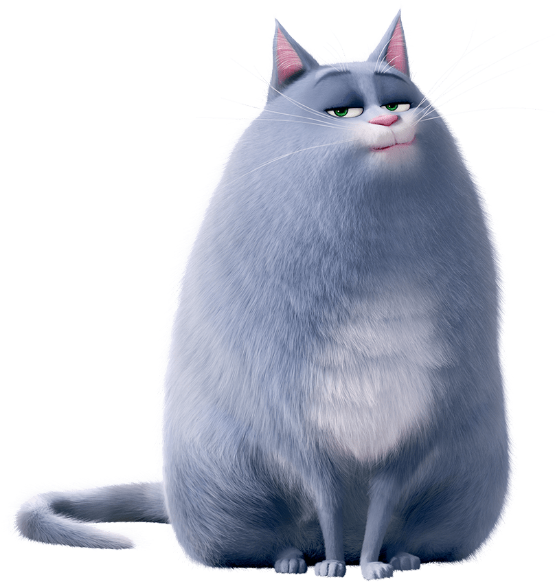 Congratulations! The PNG Image Has Been Downloaded (Mascotas Chloe ...