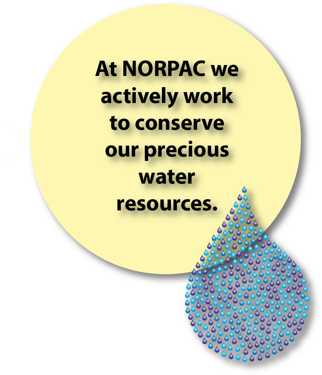 Congratulations! The PNG Image Has Been Downloaded (Water Main Bullet ...