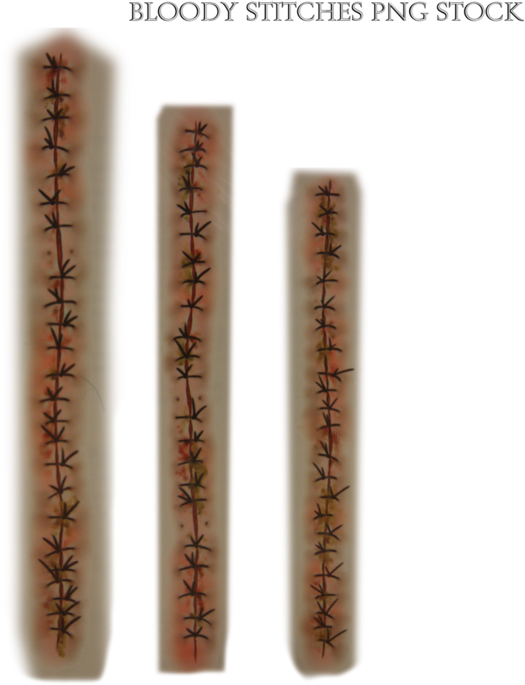 Congratulations! The PNG Image Has Been Downloaded (Transparent ...