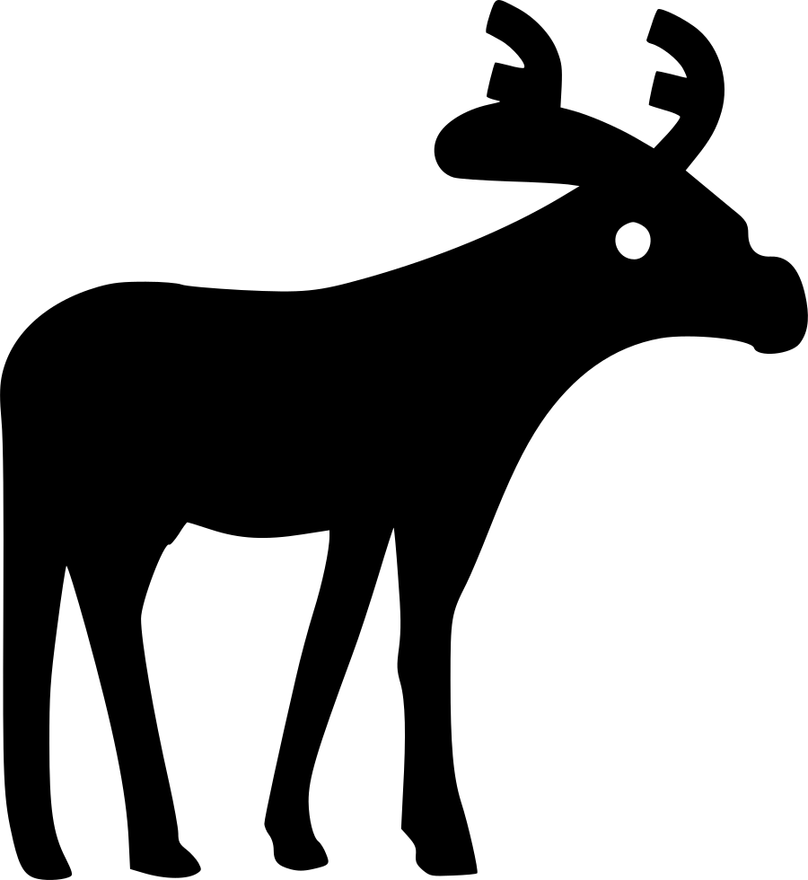 Congratulations! The PNG Image Has Been Downloaded (Moose - Elk, HD Png ...