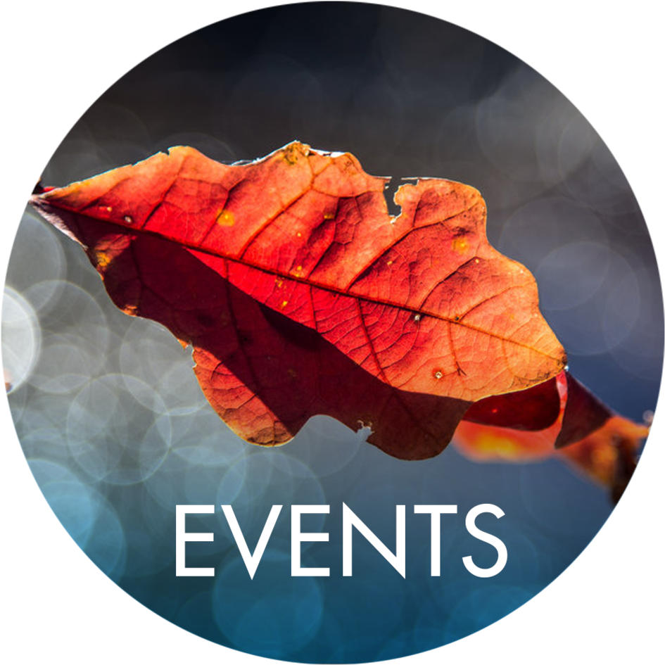 Congratulations! The PNG Image Has Been Downloaded (Events - Autumn, HD ...