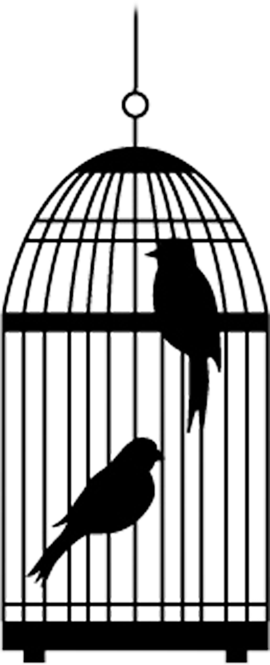 Congratulations! The PNG Image Has Been Downloaded (Bird Cage With Two ...
