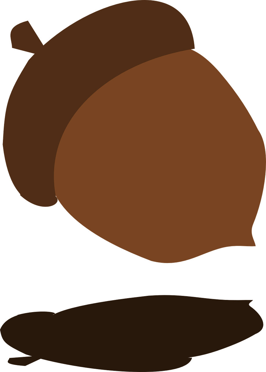 Congratulations! The PNG Image Has Been Downloaded (Transparent Acorn ...