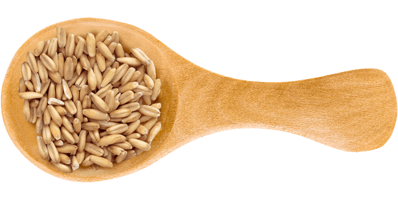 Congratulations! The PNG Image Has Been Downloaded (Spelt Png ...