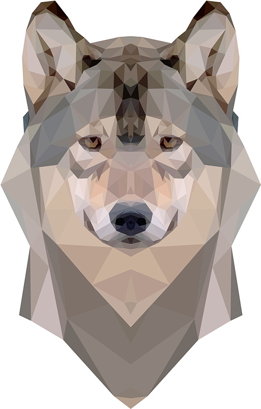 Congratulations! The PNG Image Has Been Downloaded (Vector Triangles ...