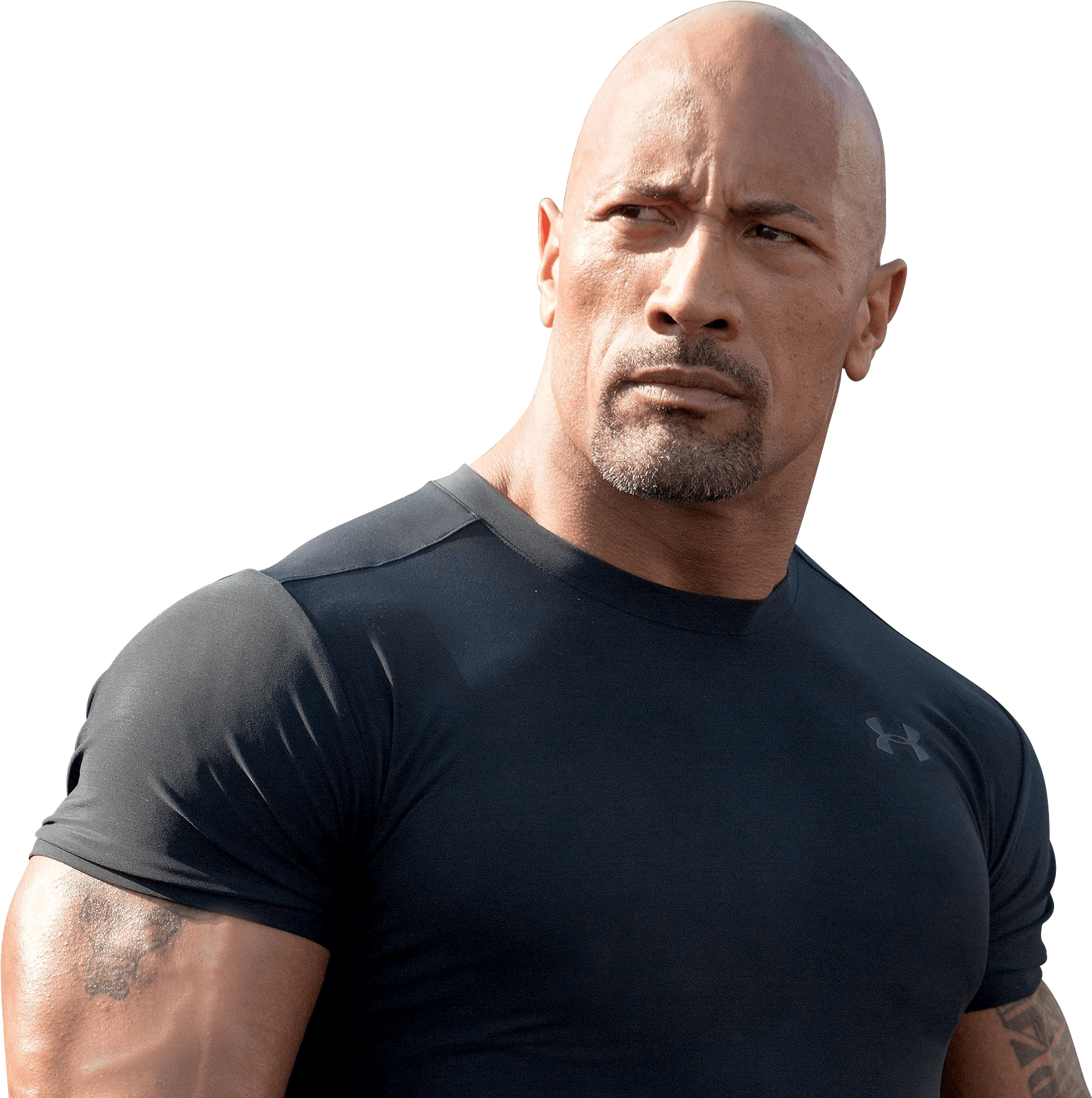 Congratulations! The PNG Image Has Been Downloaded (Dwayne Johnson Png ...