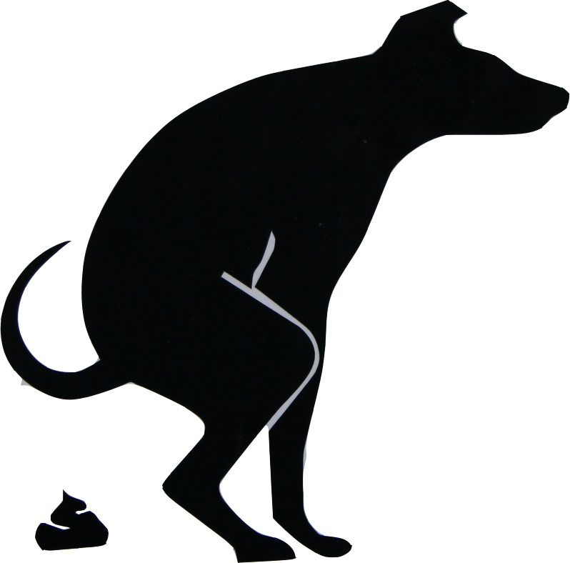Congratulations! The PNG Image Has Been Downloaded (Dog Pooping Png ...