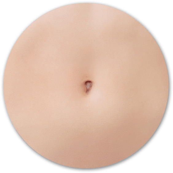 Congratulations! The PNG Image Has Been Downloaded (Belly Button ...