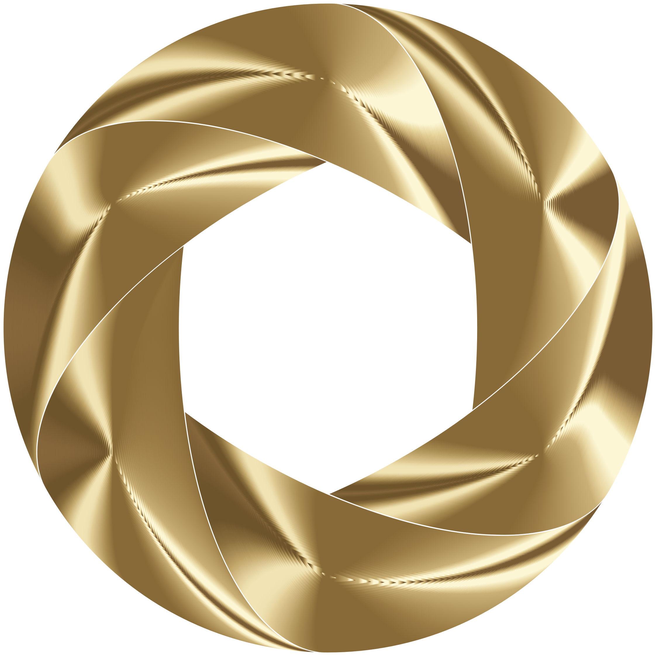 Congratulations! The PNG Image Has Been Downloaded (Gold Camera Lens ...