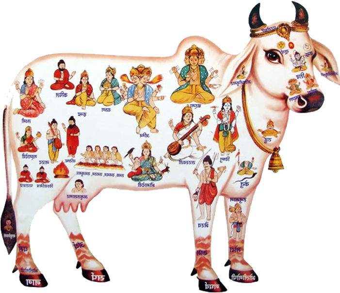 Congratulations! The PNG Image Has Been Downloaded (Krishna Clipart ...