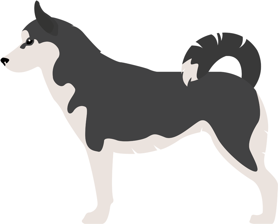 Congratulations! The PNG Image Has Been Downloaded (Siberian Husky ...