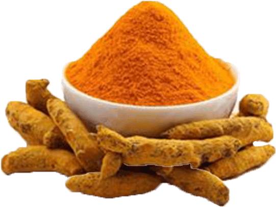 Congratulations! The PNG Image Has Been Downloaded (Haldi Chandan, HD ...