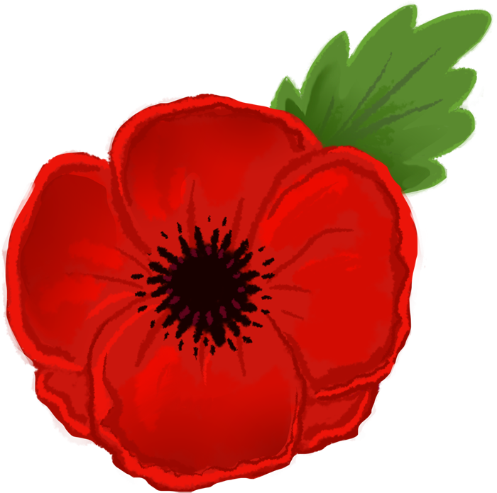 Congratulations! The PNG Image Has Been Downloaded (Poppy Clipart ...