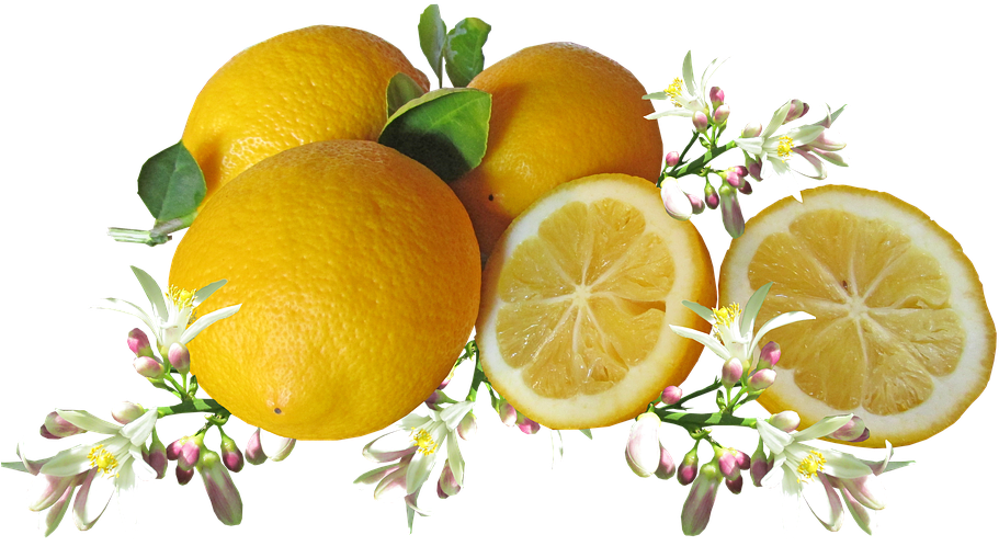 Congratulations! The PNG Image Has Been Downloaded (Limones, Cítricos ...