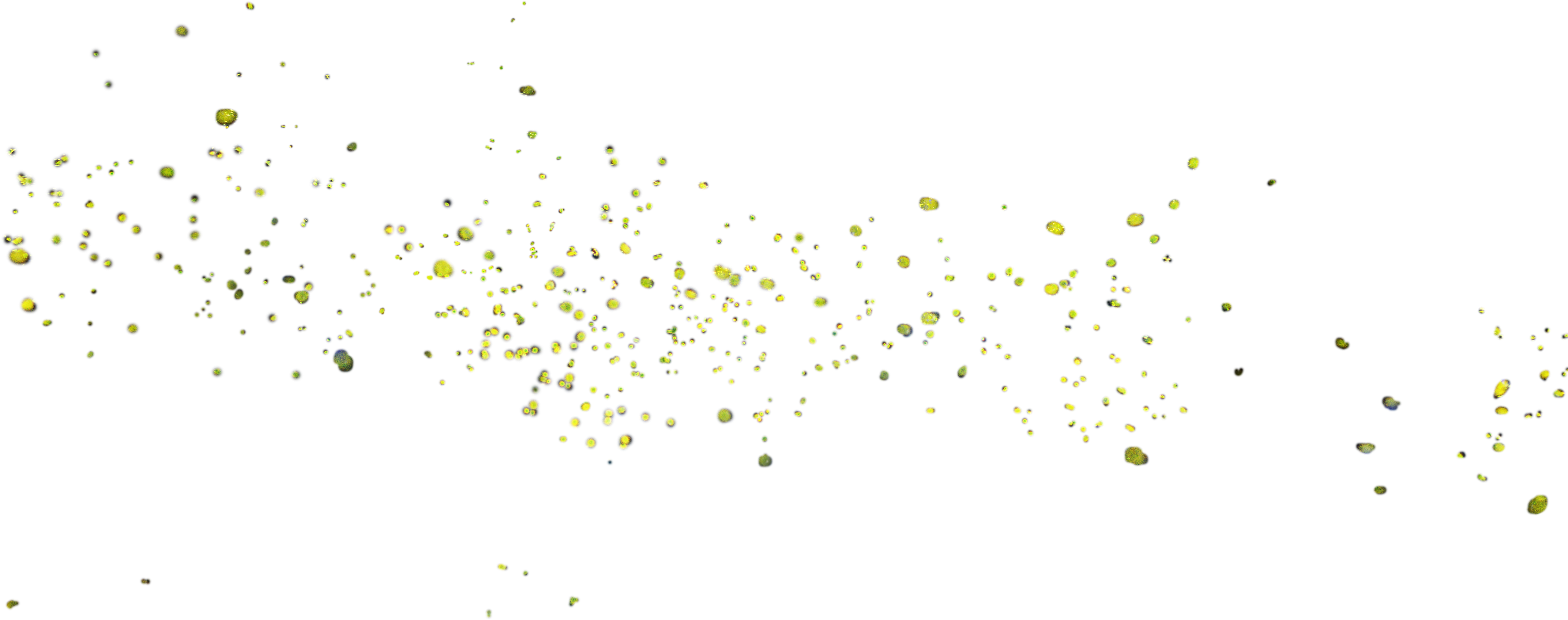 Congratulations! The PNG Image Has Been Downloaded (Fireflies Png ...