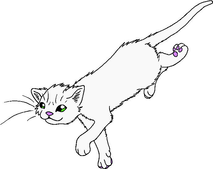 Congratulations! The PNG Image Has Been Downloaded (Spider Paw ...